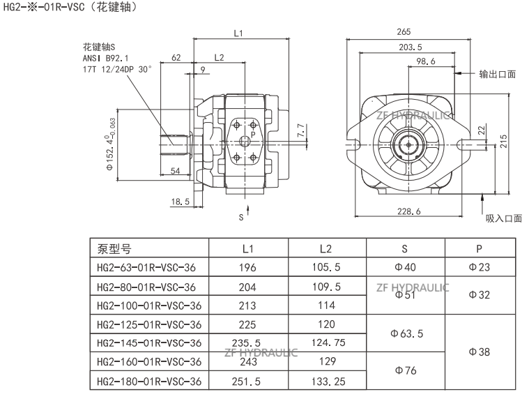 HG HG2 internal gear pump HG2-80-01R-VPC-36 HG2-100-01R-VPC-36
